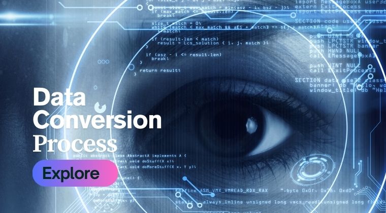 Discover Everything about Data Conversion Process